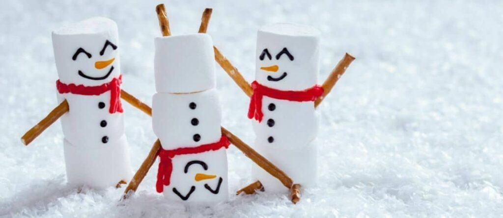 8 Tips for a Happy and Healthy Holiday Season | Vitabasix®